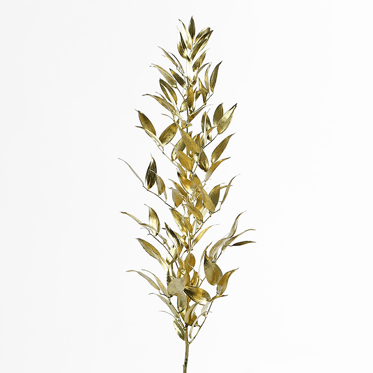 Рускус золотий - замовити і купити квіти з доставкою | Donpion